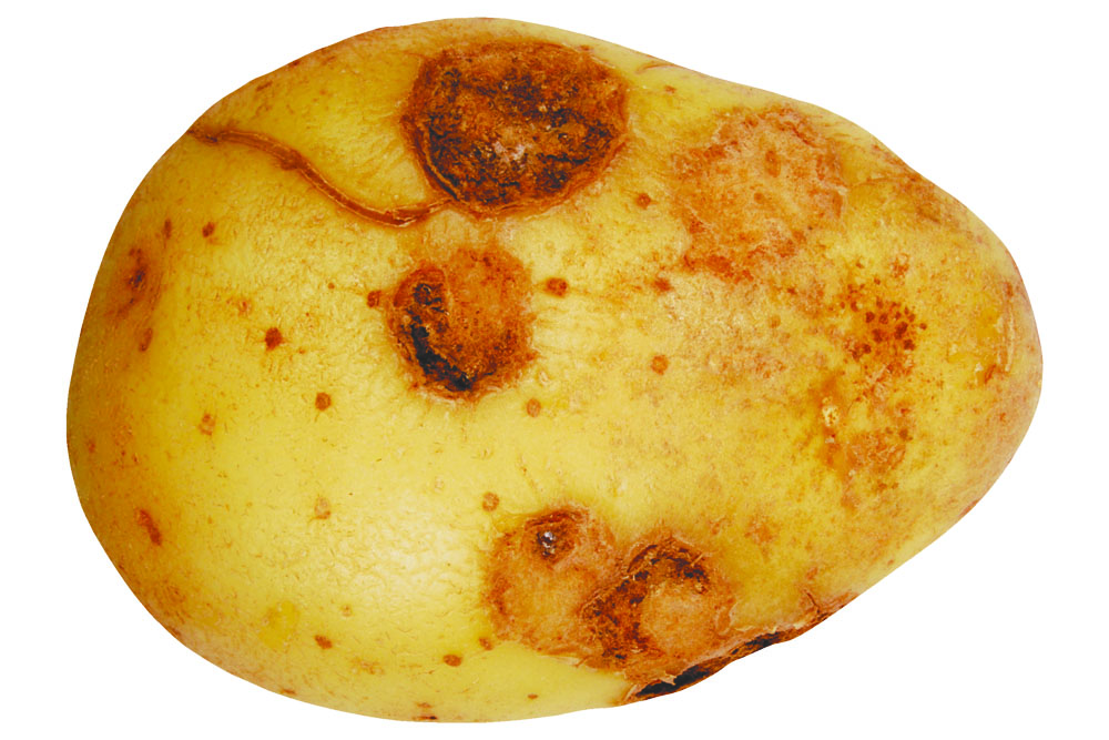 Product Control for Agriculture