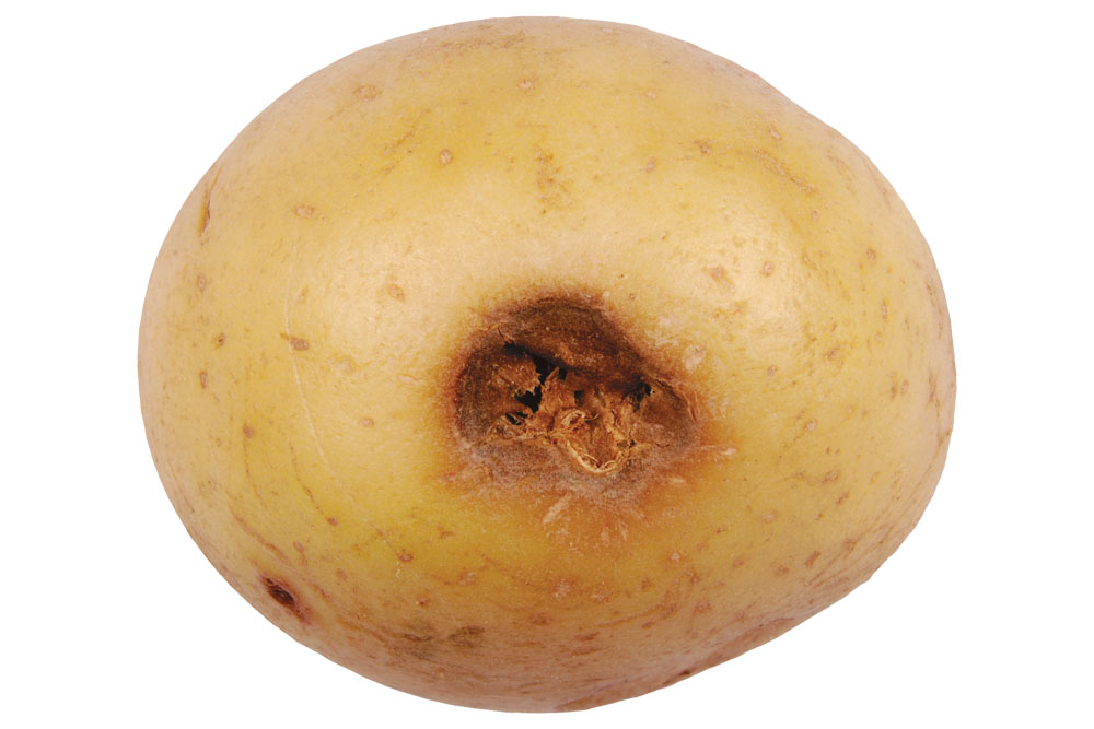 Product Control for Agriculture