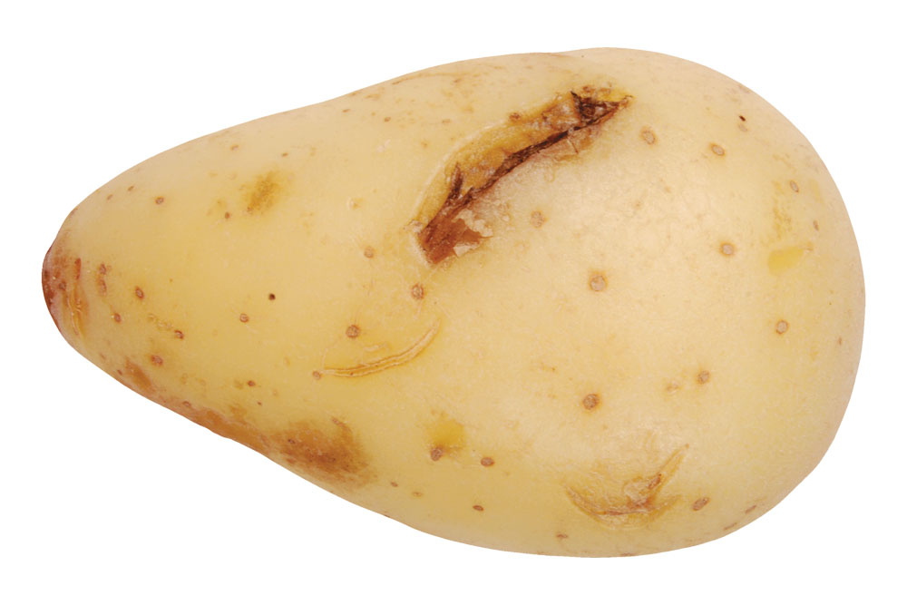 Product Control for Agriculture