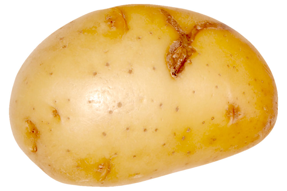 Product Control for Agriculture