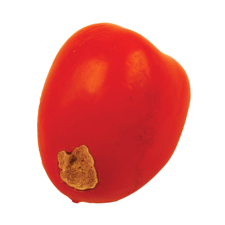 Product Control for Agriculture