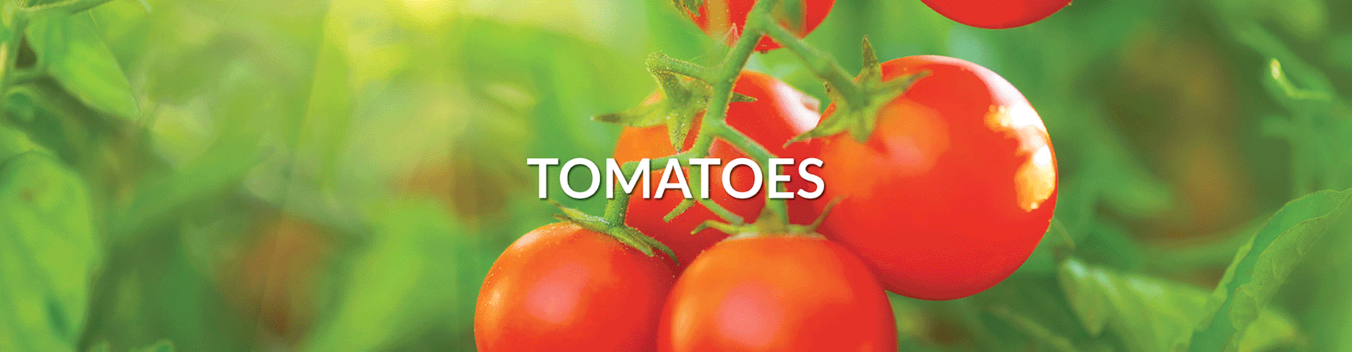 Product Control for Agriculture